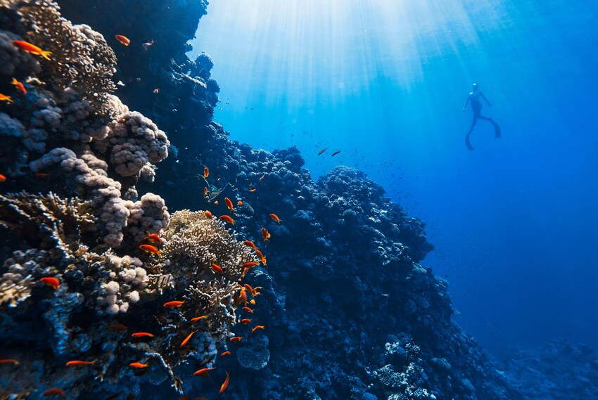 Red Sea and Beyond: A Journey Through Top Destinations with AROYA ...